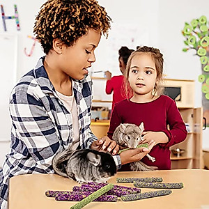 Sofier Timothy Hay Treats Rabbit Toys Bunny Toys Guinea Pig Toys Hamster Toys Natural Chews for Teeth Handmade Rabbit Chews and Treats Chinchilla Rat Gerbil