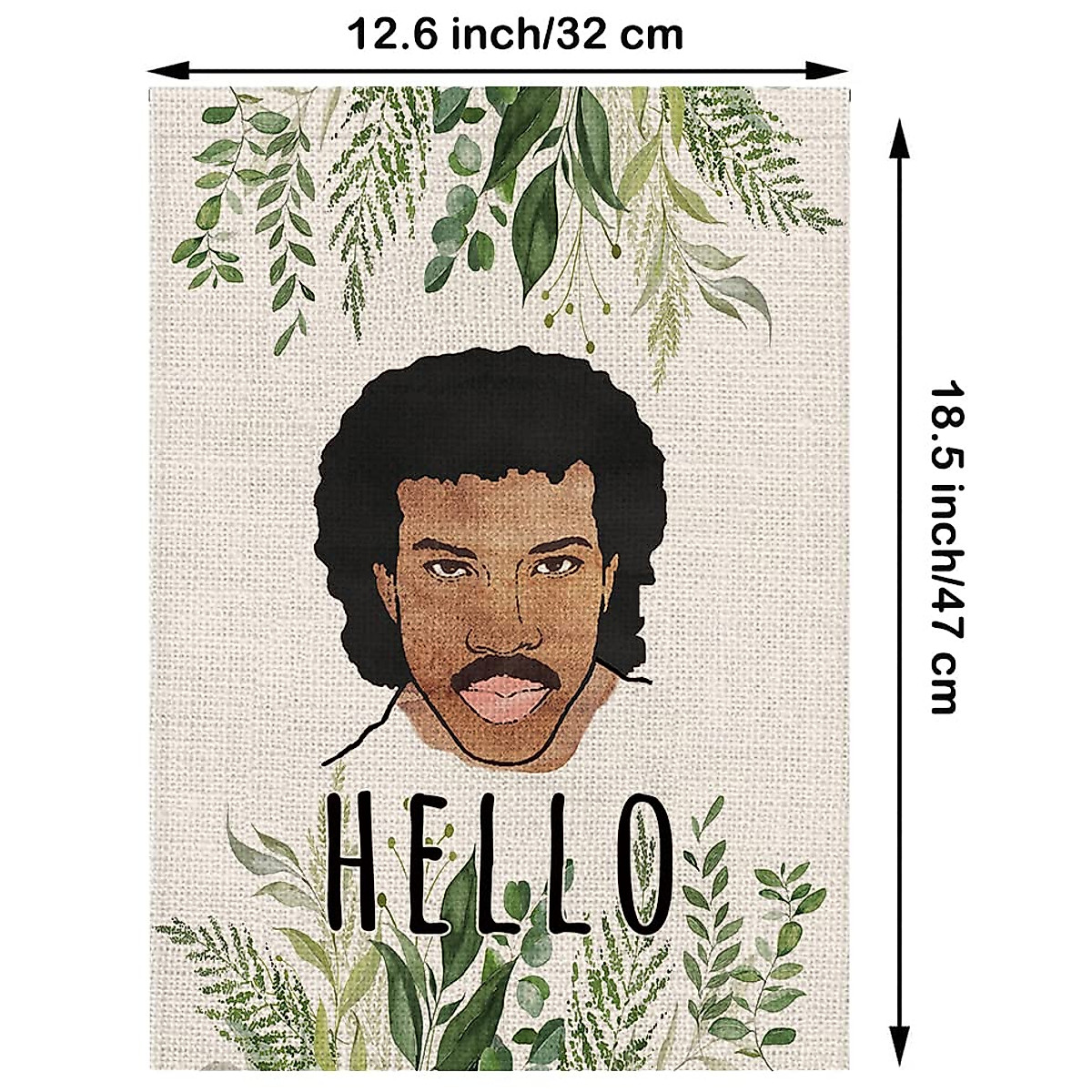 Hello Funny Garden Flag Vertical Double Sized Personalized Flag Seasonal Home Yard Outdoor Decoration 12.5 x 18 Inch