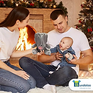 Bundaloo Plush Peek-A-Boo Bunny Animated Singing Play Along Stuffed Animal for Kids - Plays Games and Sings Songs (Peek-A-Boo Bunny)