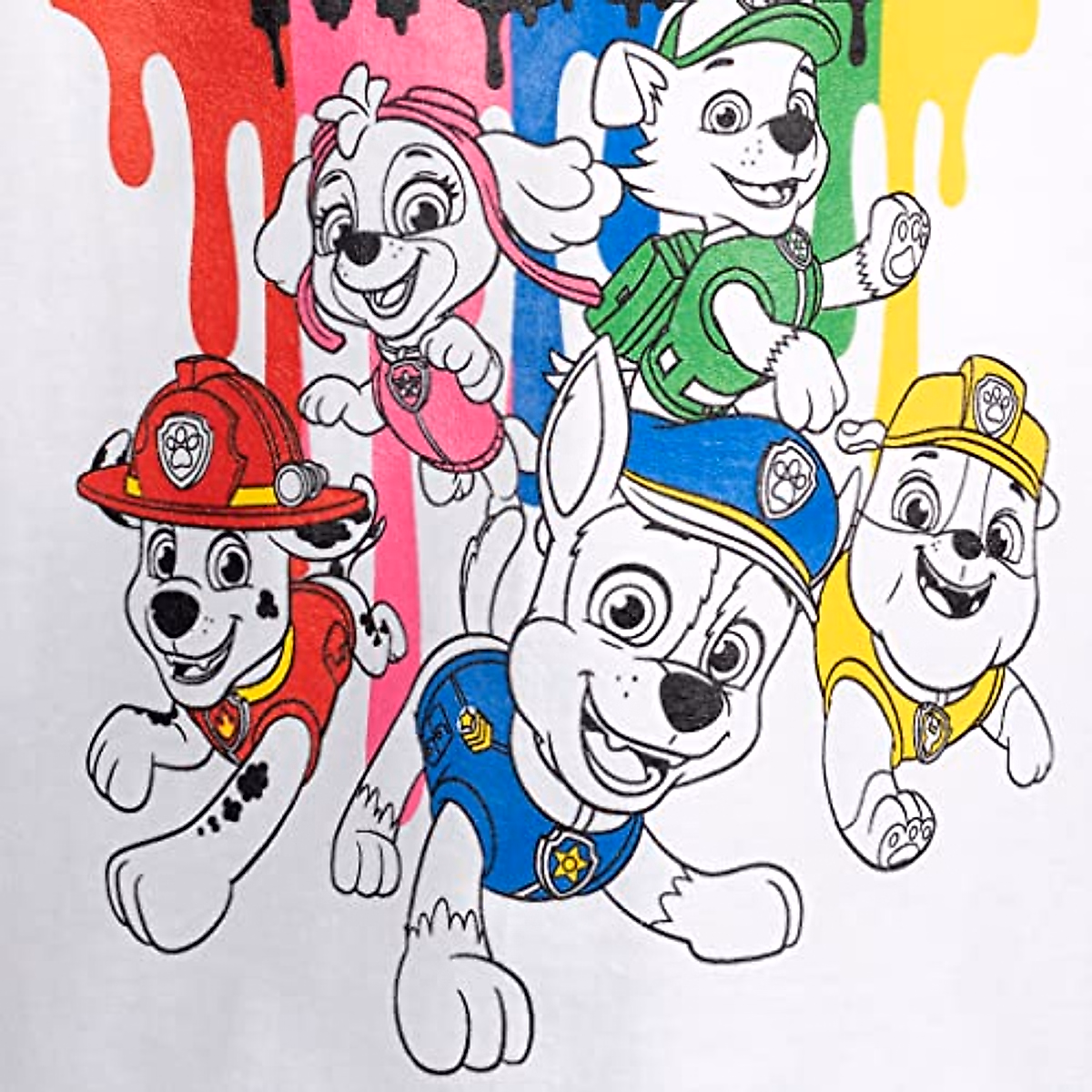 Paw Patrol Chase Rubble Everest Skye Marshall Little Boys T-Shirt Mesh Shorts Set 7-8