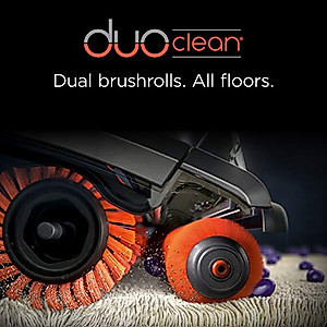 Shark ZU782 Rotator Lift-Away DuoClean Pro Upright Vacuum with Self-Cleaning Brushroll, DuoClean, HEPA Filter, Headlights, Swivel Steering, Upholstery Tool, Pet Power Brush & Crevice Tool, Sage Green