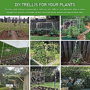 Trellis Netting, CANAGROW Heavy-Duty Garden Plant Trellis Netting for Climbing Plants, Outdoor Indoor Grow Net for Beans Tomatoes Peas Pumpkin Flowers, 6 x 15ft, 1 Pack