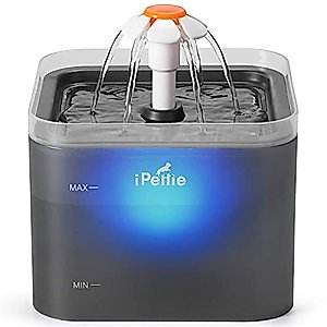 iPettie Neverland Cat Water Fountain with LED Light, 67oz/2.0L, Ultra Quiet Cat Drinking Fountain with Filter, Automatic Pet Water Fountain, Cat Fountain for Cats and Small Dogs, Grey