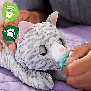 FurReal Newborns Kitty Interactive Animatronic Plush Toy: Electronic Pet with Sound Effects and Closing Eyes, for Kids Ages 4 and up
