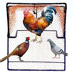 DSQSTMR Bird Trap Pigeon Sparrow Quail Starling Chicken Live Animal Control Spring Traps Snares for Trapping Catching Net