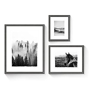 SunFlax Nature View Pictures Prints Framed - Mysterious Foggy Scenery Photography Black and White Wall Art with Wooden Frame for Bathroom, Living Room, Bedroom, Office 3 Panels