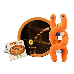 GIANTmicrobes DNA Plush, Genetics Gifts, DNA Gifts, Genetic Counselor Gifts, Genealogy Gifts, Ancestry Gift, Funny Science Teacher Gifts,Science Gifts