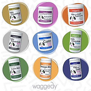 waggedy Hip and Joint Turmeric - Dog Supplements for Joints with Glucosamine & MSM — All-Natural Daily Glucosamine for Dogs to Improve Flexibility & Mobility (2 Packs of 60 Dog Chews Each)