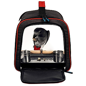 Colorday Lightweight Bird Carrier for Travelers, Bird Travel Cage with Parrot Feeder Cups & Standing Perch and Tracy (Large 19 x 12 x 13, Black)