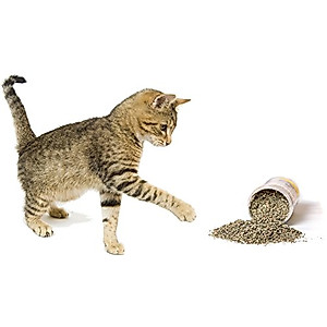 Organic Catnip by Cat Kush, Safe Premium Blend Perfect for Cats, Instilled with Maximized Potency your Kitty is Guaranteed to Go Crazy for! (1 Cup)