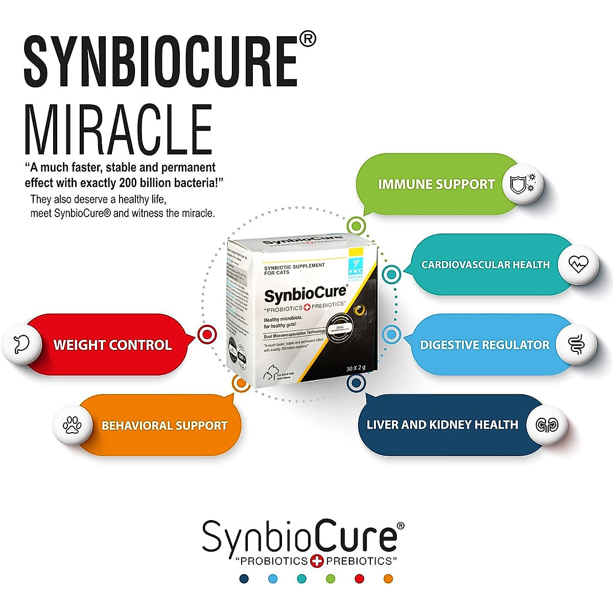 SynbioCure I Probiotics & Prebiotics for Cats I Powder Cat Supplement I Digestive Health Support I 200 Billion Bacteria Per Sachet I 30 Sachets*2 g