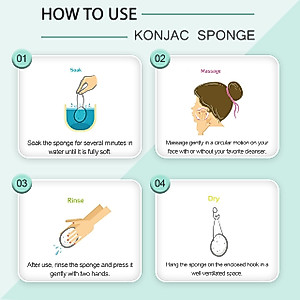 pureSOL Konjac Sponge - Activated Charcoal - Facial Sponge, 100% Natural Sponge, Eco-Friendly - Great for Acne, Exfoliating