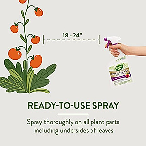 Garden Safe 32 oz. Insecticidal Soap Ready-to-Use