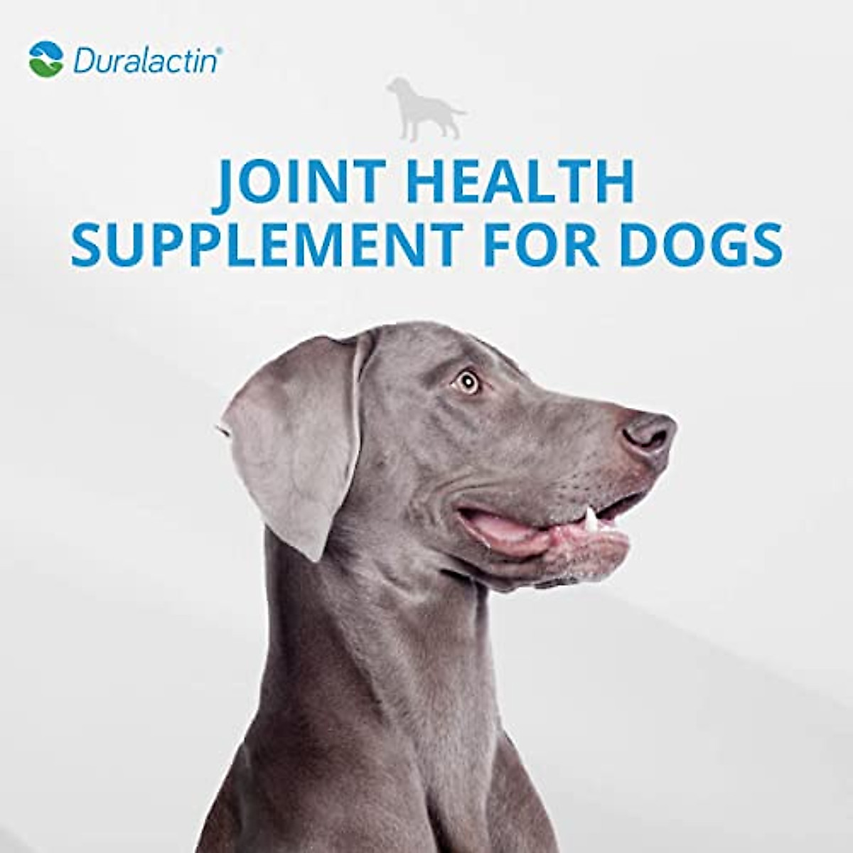 PRN Pharmacal Duralactin Canine Chewable Tablets - Joint Health Supplement for Dogs and Puppies Supports Reduced Inflammation - Vanilla-Flavored Tablets Containing Dried Milk Protein - 180 Canine Chews