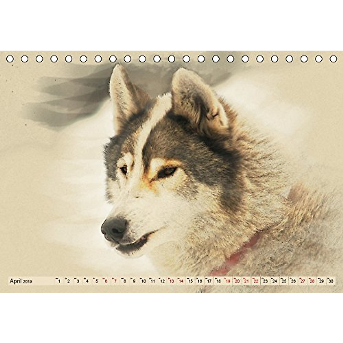 Schlittenhunde 2019 (Tischkalender 2019 DIN A5 quer): Der Kalender ist im kunstvollen Aquarell-Stil gehalten, so dass jedes einzelne Bild einem kleinen Kunstwerk gleicht. (Monatskalender, 14 Seiten )