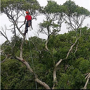 YUZENET Braided Polyester Arborist Rigging Rope (3/8 inch X 100 feet) High Strength Outdoor Rope for Rock Climbing Hiking Camping Swing, Purple