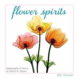 2021 Flower Spirits Radiographs of Nature by Steven N. Meyers Mini Calendar