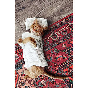 Washable Area Rug Living Room, Bedroom, Bathroom, Kitchen Vintage Chenille Rug Animal-Friendly 0602_RED (2' x 3')