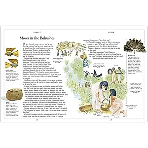 The Children's Illustrated Jewish Bible (DK Bibles and Bible Guides)