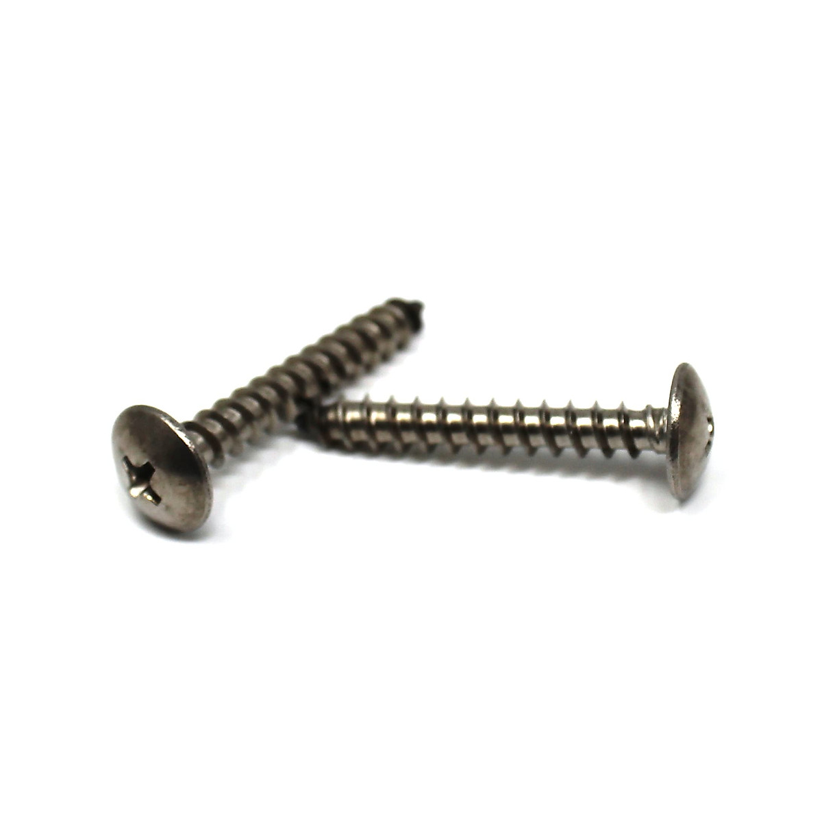 10 x1-1/4" SS Phillips Truss Head Screw Set 80 Piece Dock Bumper Edging Piling Cone Fastener