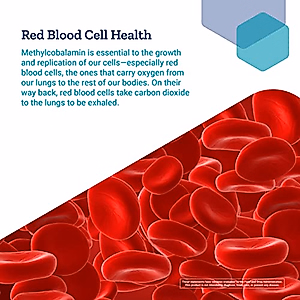 Life Extension Vitamin B12 Methylcobalamin 1mg - Vitamin B supplement For Brain Health & Cognition – Vegetarian Lozenges Dissolve in Your Mouth -Gluten-Free, Non-GMO, Vegetarian – 60 Counts