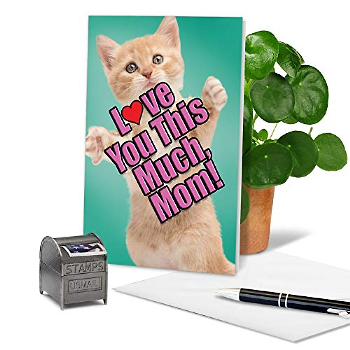 NobleWorks - 1 Funny Animal Birthday Card with Envelope - Cute Card for Birthdays - Cat Love You This Much Mom C6610GBMG