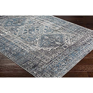 Livabliss Desta Vintage Oriental Area Rug,5'3" x 7'3",Blue/Grey