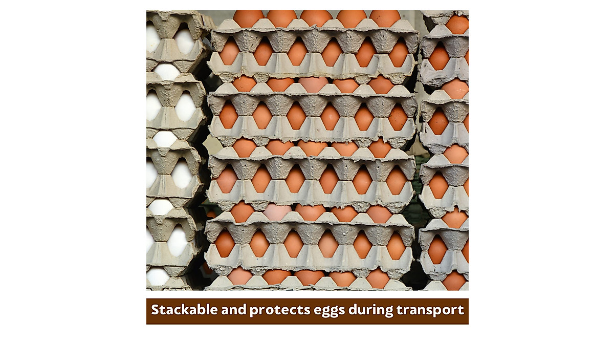 60 Pieces Egg Crates Bulk - Reusable 30 Cell Egg Cartons for Farm & Kitchen
