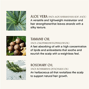 INNERSENSE Organic Beauty - Natural Sweet Spirit Leave-In Conditioner | Non-Toxic, Cruelty-Free, Clean Haircare (Full Size, 10 fl oz | 295 ml)