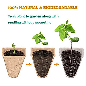 macoya Seed Starter Tray, Seedling Starter Peat Pots Kits, Biodegradable Compostable Planting Pots for Vegetable Fruit Flower, Indoor Outdoor & Organic Garden, 150 Cells Plus 30 Plant Labels