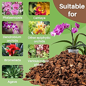 9OZ Orchid Bark Planting Soil - Sukh Orchid Potting Mix Horticultural Cypress Mulch Horticulture Dryad Pine Bark Natural Wood Chips Soil Cover for Plants Garden Orchid Medium Indoor Plants (5-12mm)