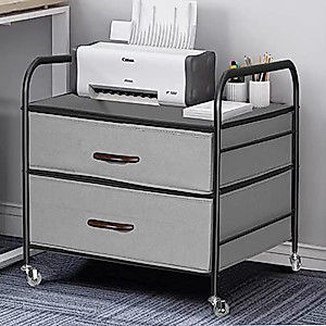 EazeHome Rolling Cart, Rolling Storage Cart, Mini Fridge Cart with Storage, Mini Fridge Table, Rolling Cart with Drawers, 2 Tier Utility Cart on Wheels, 2 Drawer Storage Organizer for Dorm