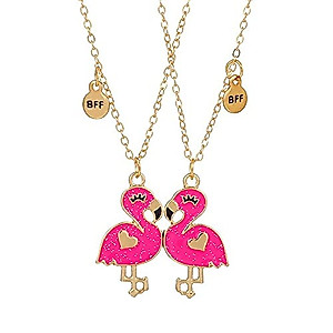 Best Friend Necklace Gifts Friendship Necklace Magnetic Matching BFF Necklace for 2 Girls (D: Hot Flamingo)