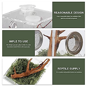 NUOBESTY 2 Set Spider Terrarium Acrylic Critter Keeper Jumping Spider Enclosure Snail Container House Reptile Terrarium Insect Enclosure Tank Snail Spider Habitat 3. 5X3. 5X4CM