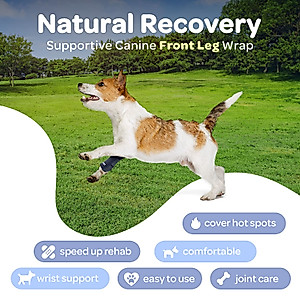 Labra Dog Canine Front Leg Compression Brace Wrap Sleeve, Protects Wounds, Braces, Heals, and Prevents Injuries and Sprains, Helps with Loss of Stability Caused by Arthritis - Large/Extra Large