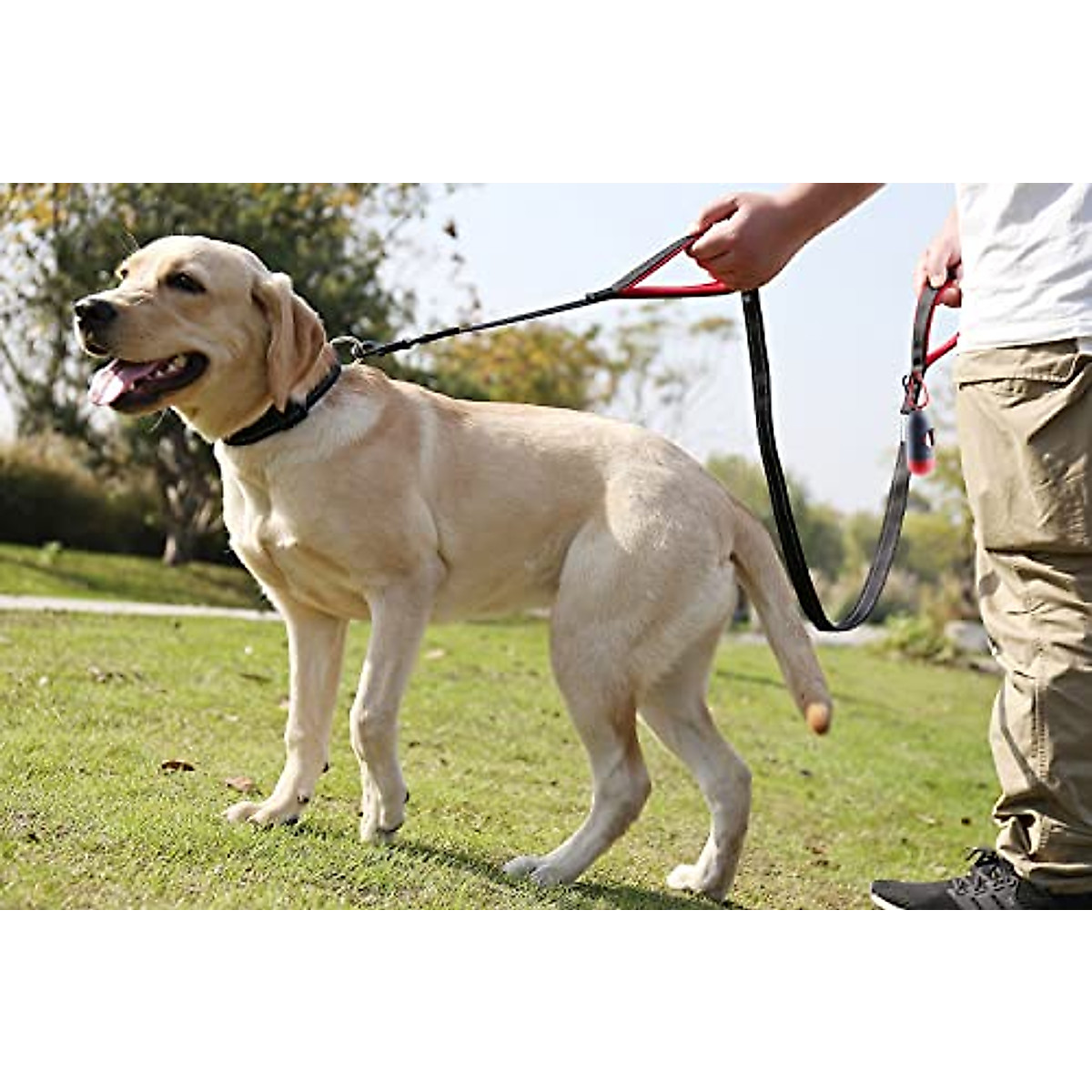 VIVAGLORY Dog Training Leash with 2 Padded Handles, Heavy Duty 6ft Long Reflective Safety Leash Walking Lead for Medium to Large Dogs, Black