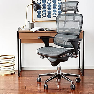 Ergohuman Eurotech ME7ERG GEN2 High Back Mesh Office Chair with Tilt Tension Control, Tilt Lock, Back Angle, Back Height, Synchro Tilt, Seat Height, Seat Depth, and Arm Height Adjustments, Grey