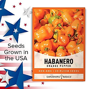 Orange Habanero Pepper Seeds for Planting Heirloom Non-GMO Hot Habanero Peppers Plant Seeds for Home Garden Vegetables Makes a Great Gift for Gardeners by Gardeners Basics