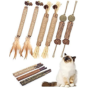Catnip Chew Toys for Cats, 12 Pack Natural Silvervine Sticks for Kittens Teeth Cleaning, Matatabi Dental Care, Increase Appetite, Calm Cat Anxiety and Stress, Aggressive Chewers Cat Dental Toy