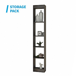 Mjkone Murphy Bed with 2 Side Cabinet, Folding Wall Bed for Bedroom, Fold Up Murphy Bed Cabinet, Queen Murphy Chest Bed Can Be Folded into a Cabinet, Storage Bed (Dark Grey, Style 1)