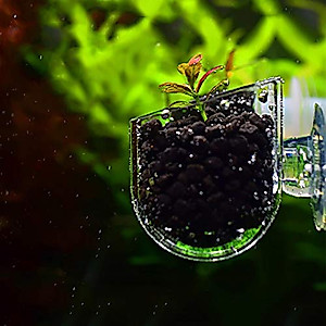 Pssopp Aquarium Red Worm Fish Feeder, Acrylic Floating Fish Feeding Cup Transparent Suction Cup Fish Food Container for Feeding Shrimp Fish