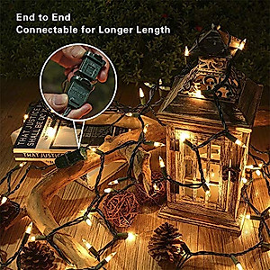 Hopolon 2 PACK 13ft 50-Count Clear Green Wire Christmas Light Set,Incandescent Mini Christmas Lights, Connectable 120V UL Certified Clear Tree Lights for Wedding, Bedroom, Porch Decor(2pcs Warm White)