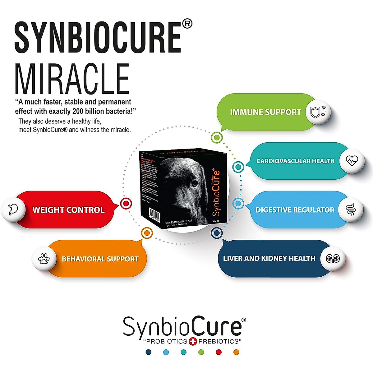 Synbiocure I Probiotics & Prebiotics for Dogs I Powder Dog Supplement I Digestive Health Support I 200 Billion Bacteria Per Sachet I 30 Sachets*2 g