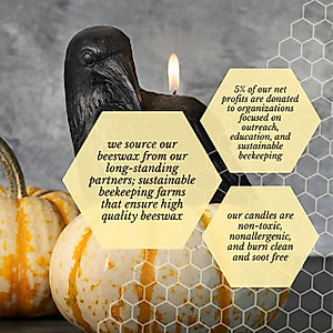 Big Dipper Wax Works Black Crow Candle, 24-Hour Long Burn, Pure Beeswax Sculpted Candle, 3.5” x 4”, Spooky Candle