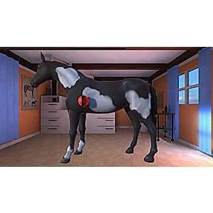 My Riding Stables 2: A New Adventure (PS4)