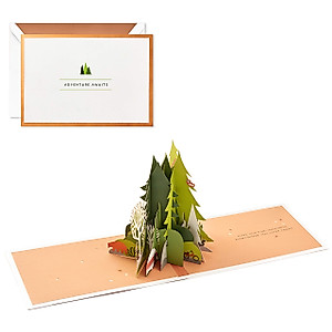 Hallmark Pop Up Birthday Card for Him (Adventure Awaits) Signature Paper Wonder 3D Card