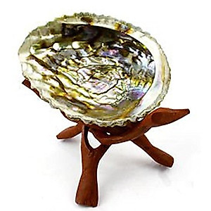 Vrinda ®Abalone Shell and 6'' Wooden Tripod Stand