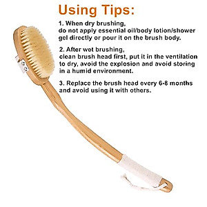 Body Brush Back Scrubber, COINPOTIA 18.7 inch Long Handle Detachable Body Brush with Dual Brushing Heads for Dry Brushing Shower, Bamboo Medium Firm Bristle Brush for Body Cellulite and Lymphatic