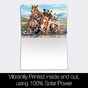 Tree-Free Greetings EcoNotes 12 Count Horses Selfie All Occasion Notecard Set with Envelopes, 4 x 6 Inches (FS56896)