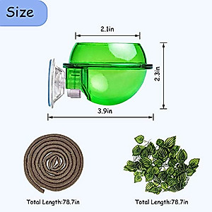 PINVNBY Reptile Suction Cup Feeder,Chameleon Feeding Food Bowl,Translucent Anti Escape Worm Live Fodder Container,Pet Ledge Water Dish Supplies for Lizard Gecko Bearded Dragon(4 Pcs)